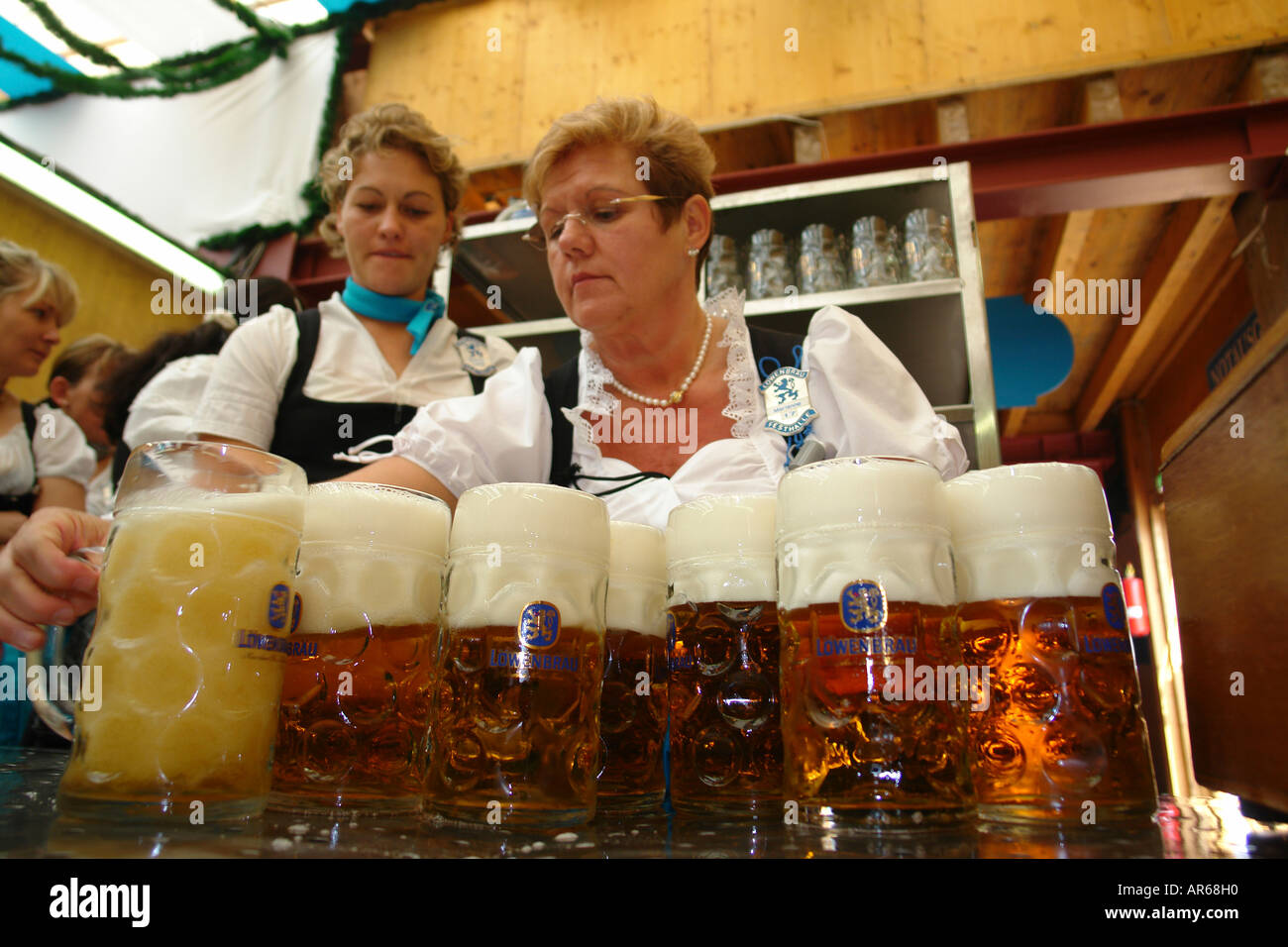 Waitress dressed in dirndl serving Liter glasses of beer in Oktoberfest ...