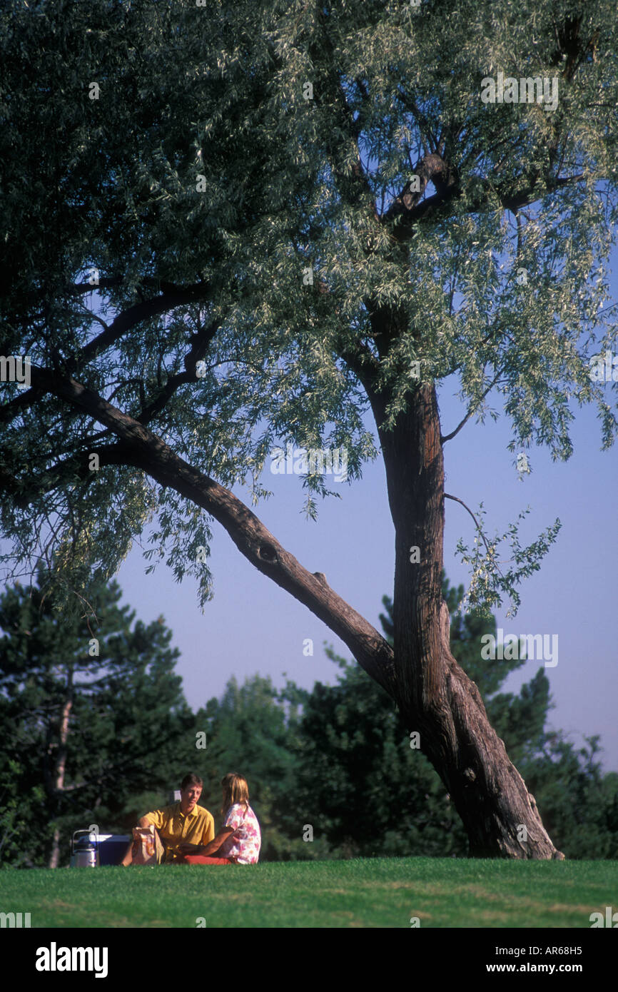 Couple having picnic under tree hi-res stock photography and images - Alamy