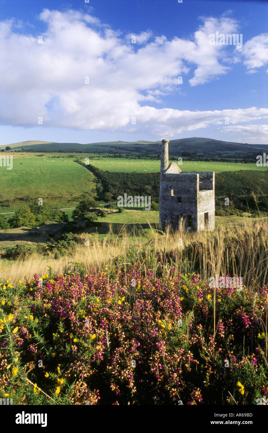 Old devon mine hi-res stock photography and images - Alamy