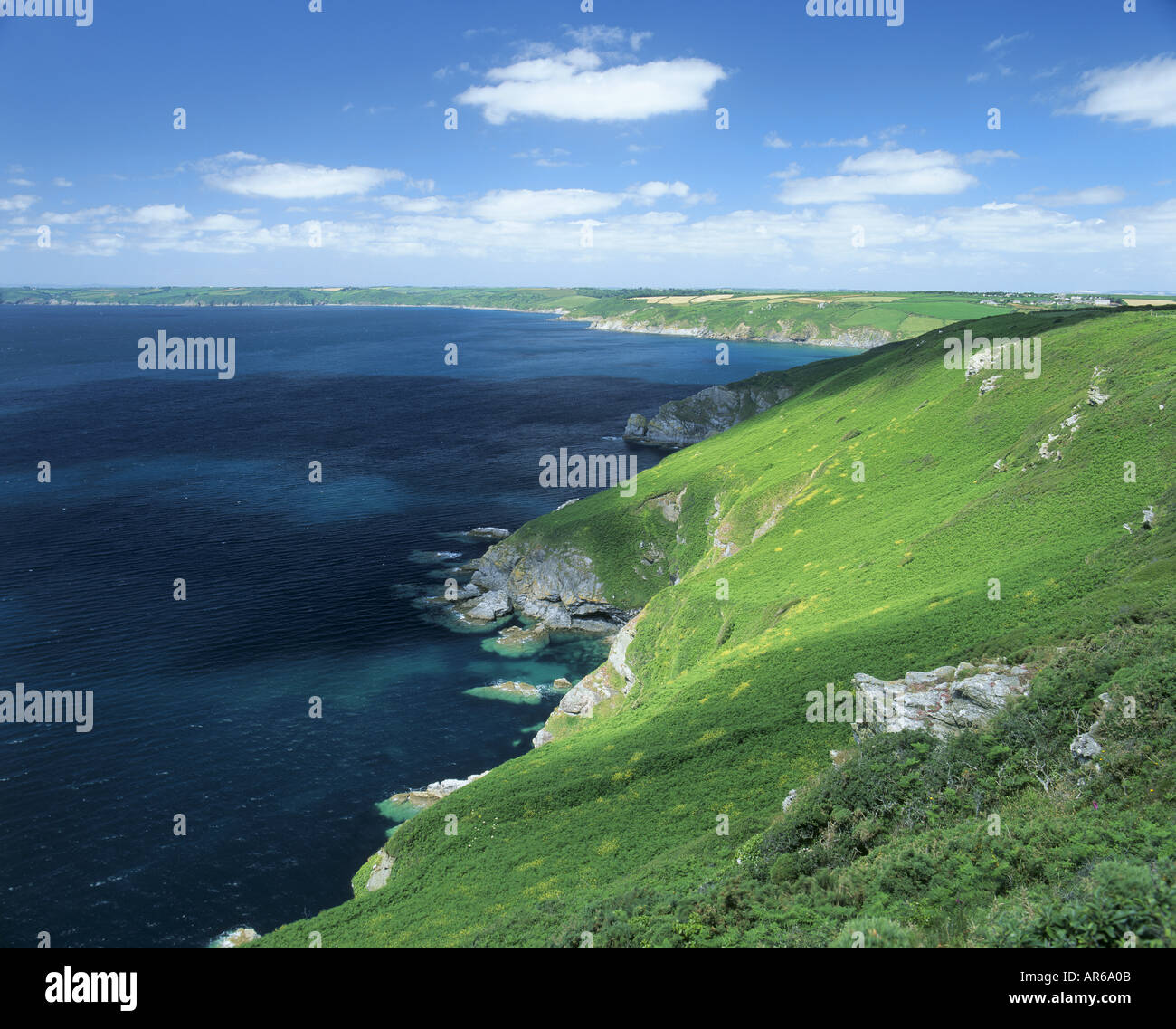 The dodman hi-res stock photography and images - Alamy