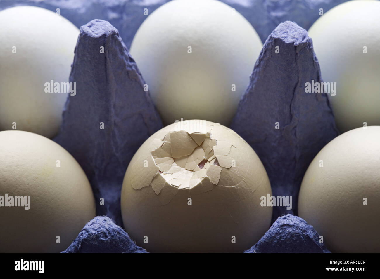 Smashed egg with other eggs in carton Stock Photo - Alamy