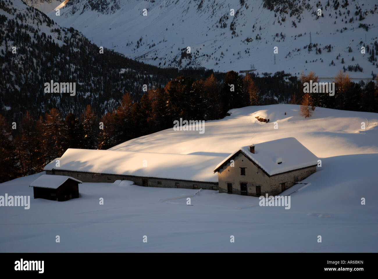 Alpine farm house and barn in winter snow, Corvatsch Surlej, Engadin ...