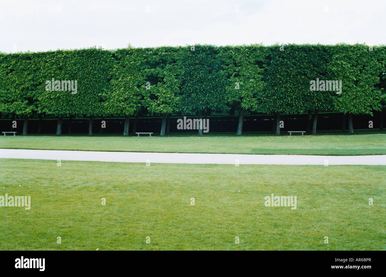 Line of hedges hi-res stock photography and images - Alamy
