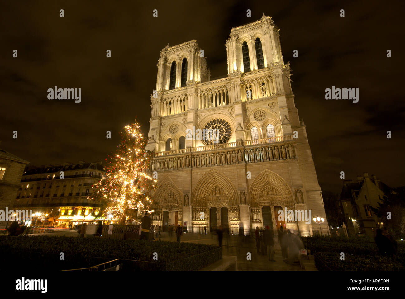 Cathedral notre dame christmas tree hi-res stock photography and images ...