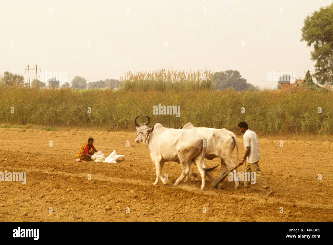 Poor farming family hi-res stock photography and images - Alamy