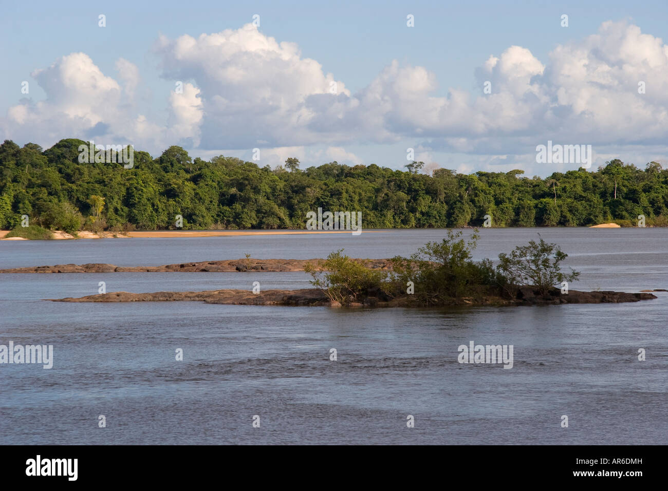 Essequibo river and rainforest. Iwokrama forest reserve, Guyana Stock ...