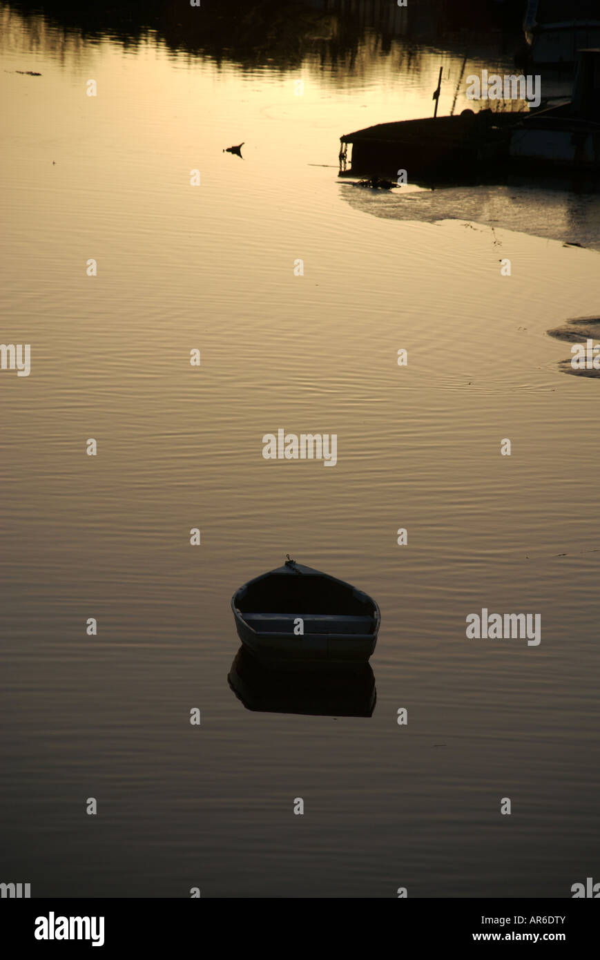 Single rowing boat on river estuary at sunset Stock Photo - Alamy