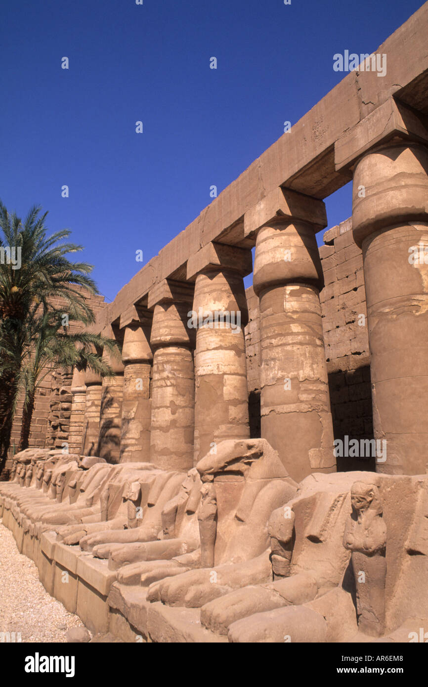 Ancient ruins of kings at the Temple of Karnak in Luxor Egypt Stock ...
