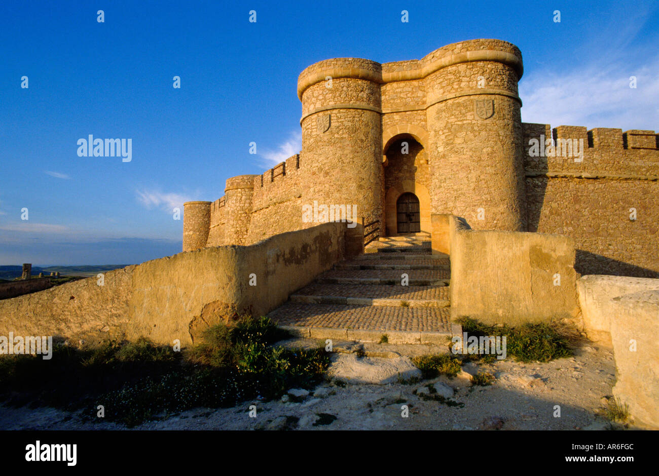 Chinchilla of monte aragon hi-res stock photography and images - Alamy