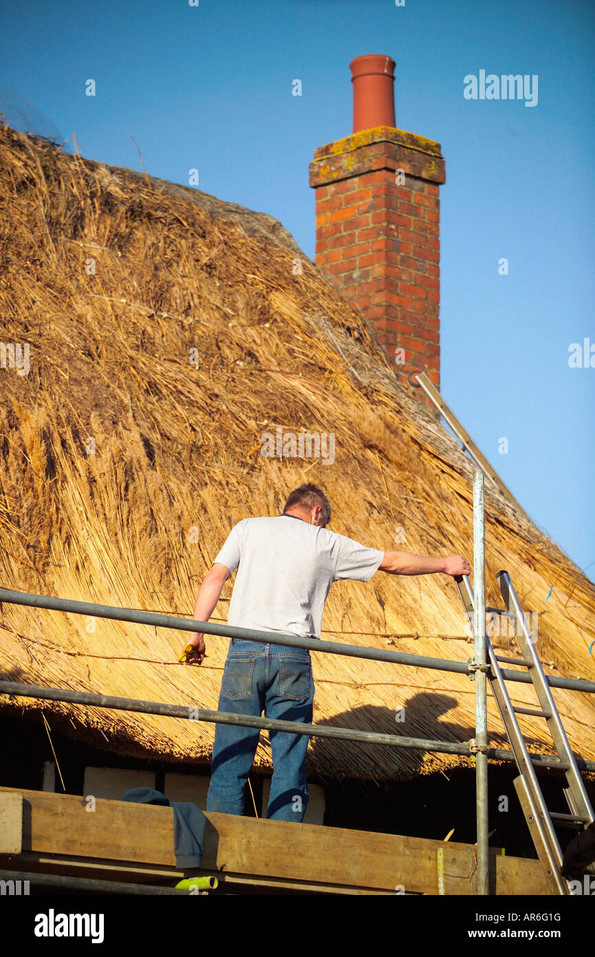 Thatcher at work hi-res stock photography and images - Alamy