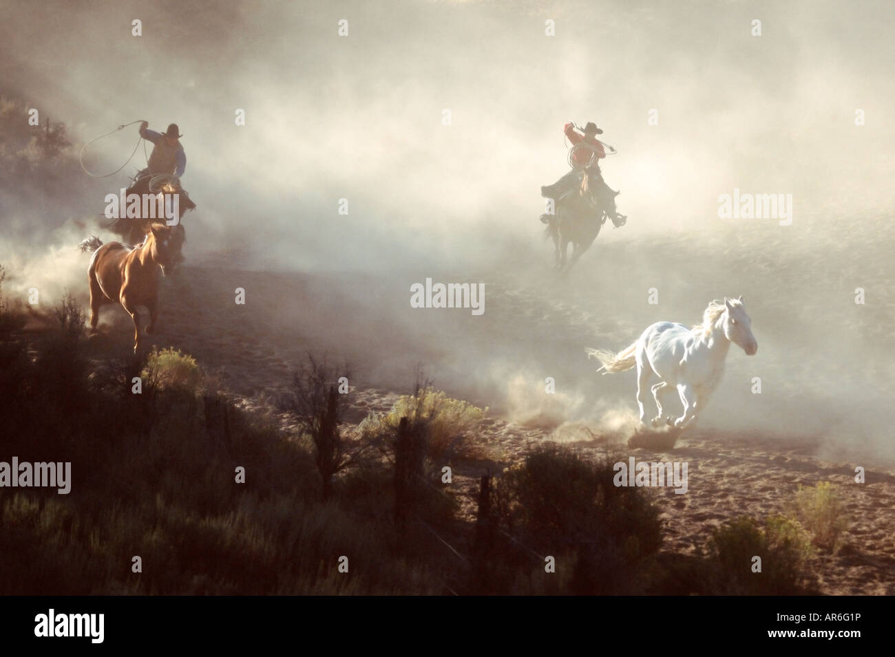 Wild West Cowboy Horse High Resolution Stock Photography and Images - Alamy