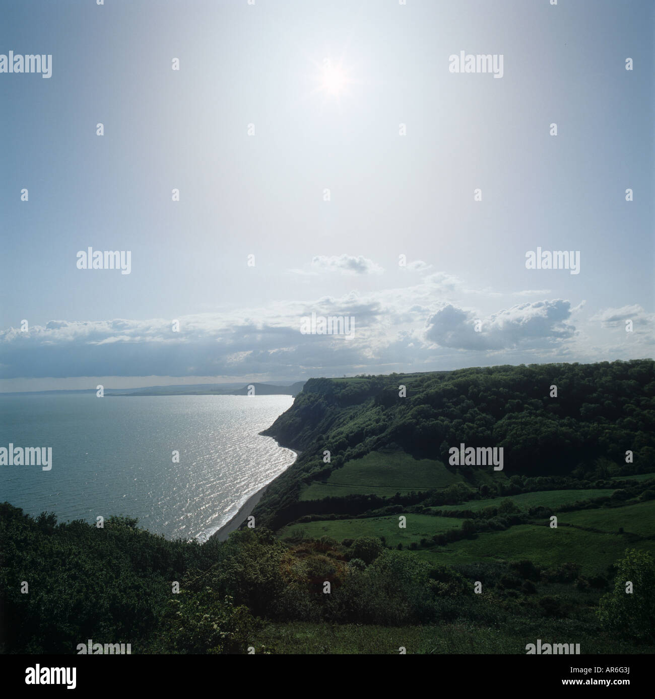Lyme bay hi-res stock photography and images - Alamy