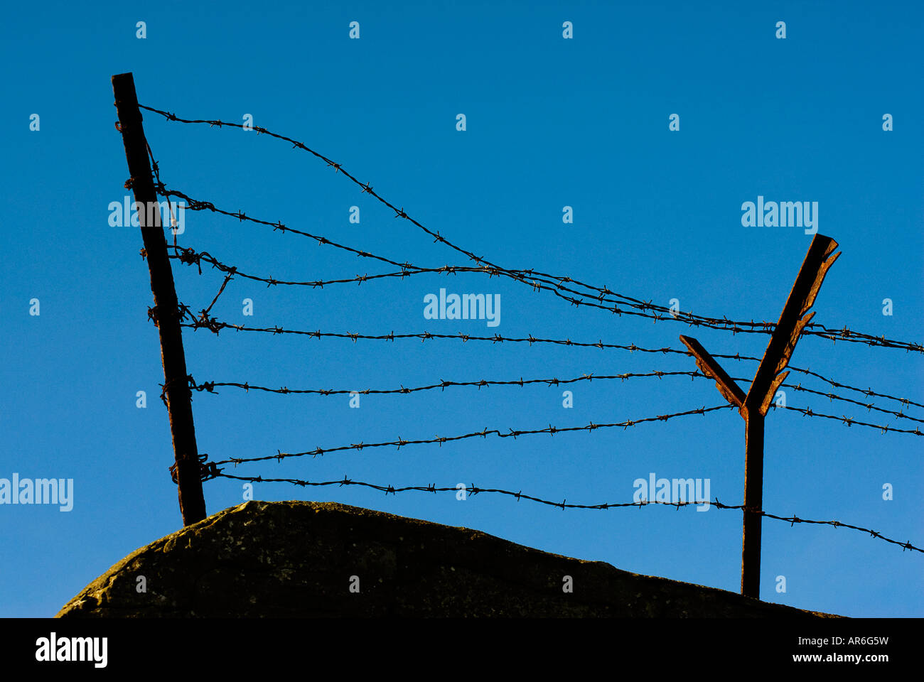 Barbed wire on top of a wall Stock Photo - Alamy