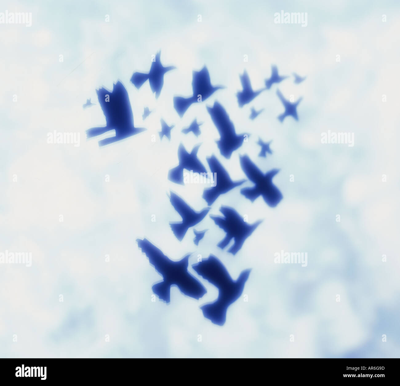 Flock of blue birds in silhouette, flying across soft blue sky with ...