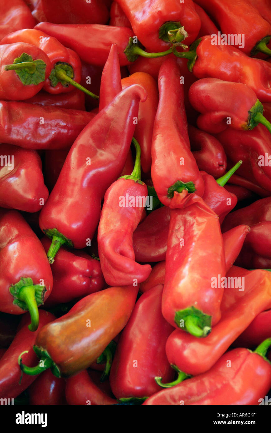 Red Chilli fresh whole closeup nutrition part close ups up culinary ...