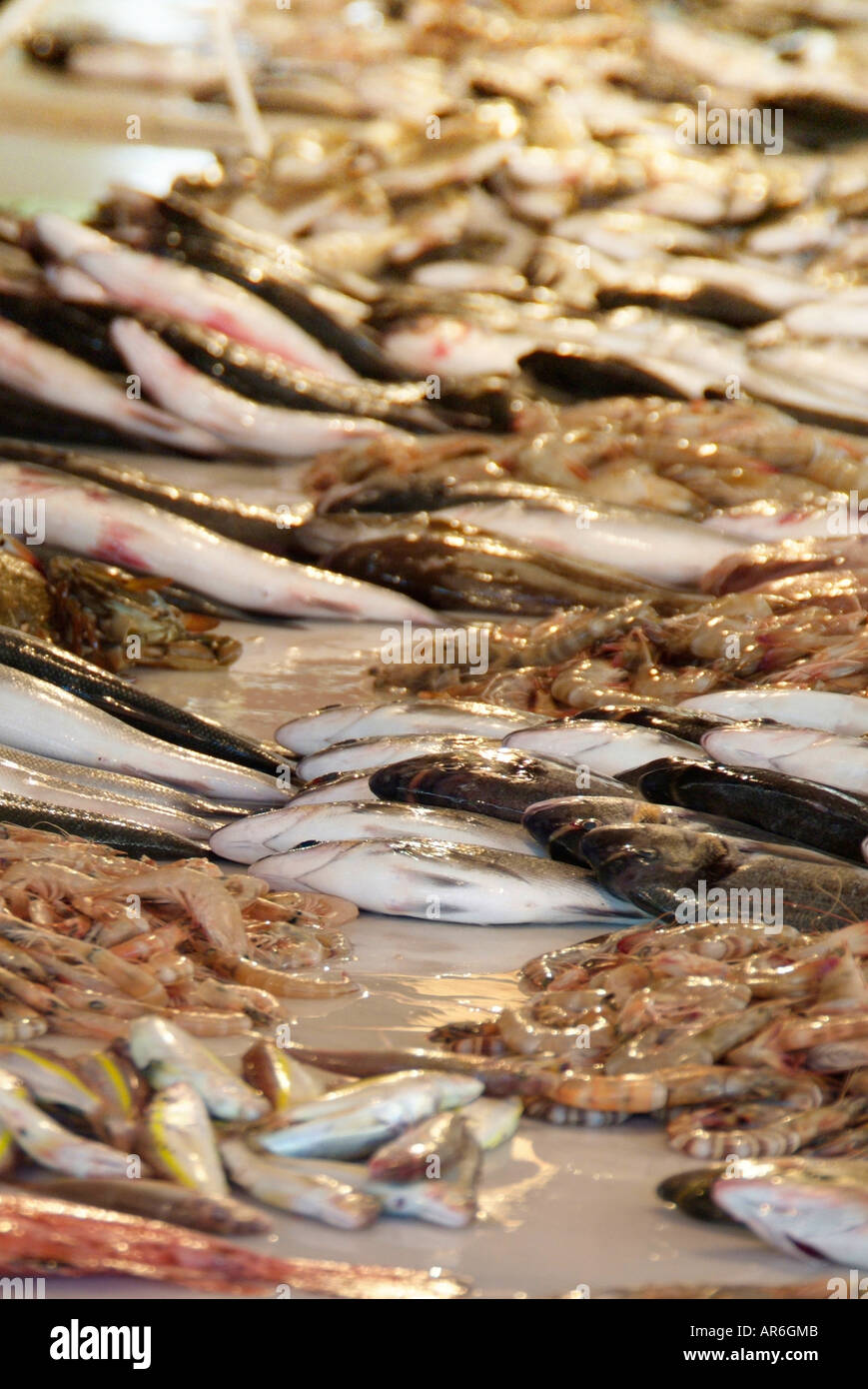 Fish fishmonger slab marble cold wet dead caught marine whole fishy ...