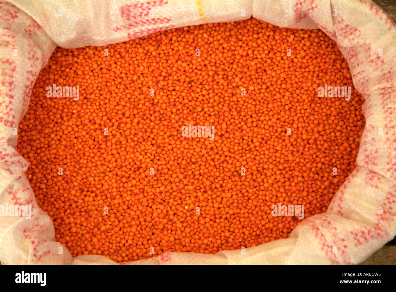 red lentil split sack orange whole unprepared unprocessed whole ...