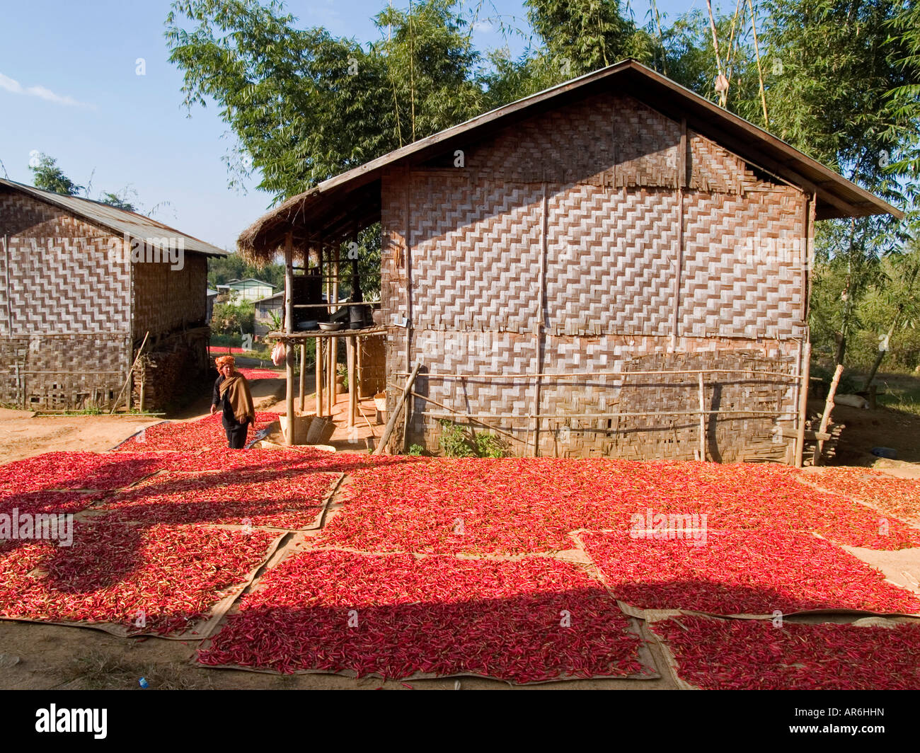 Burmese red pepper hi-res stock photography and images - Alamy