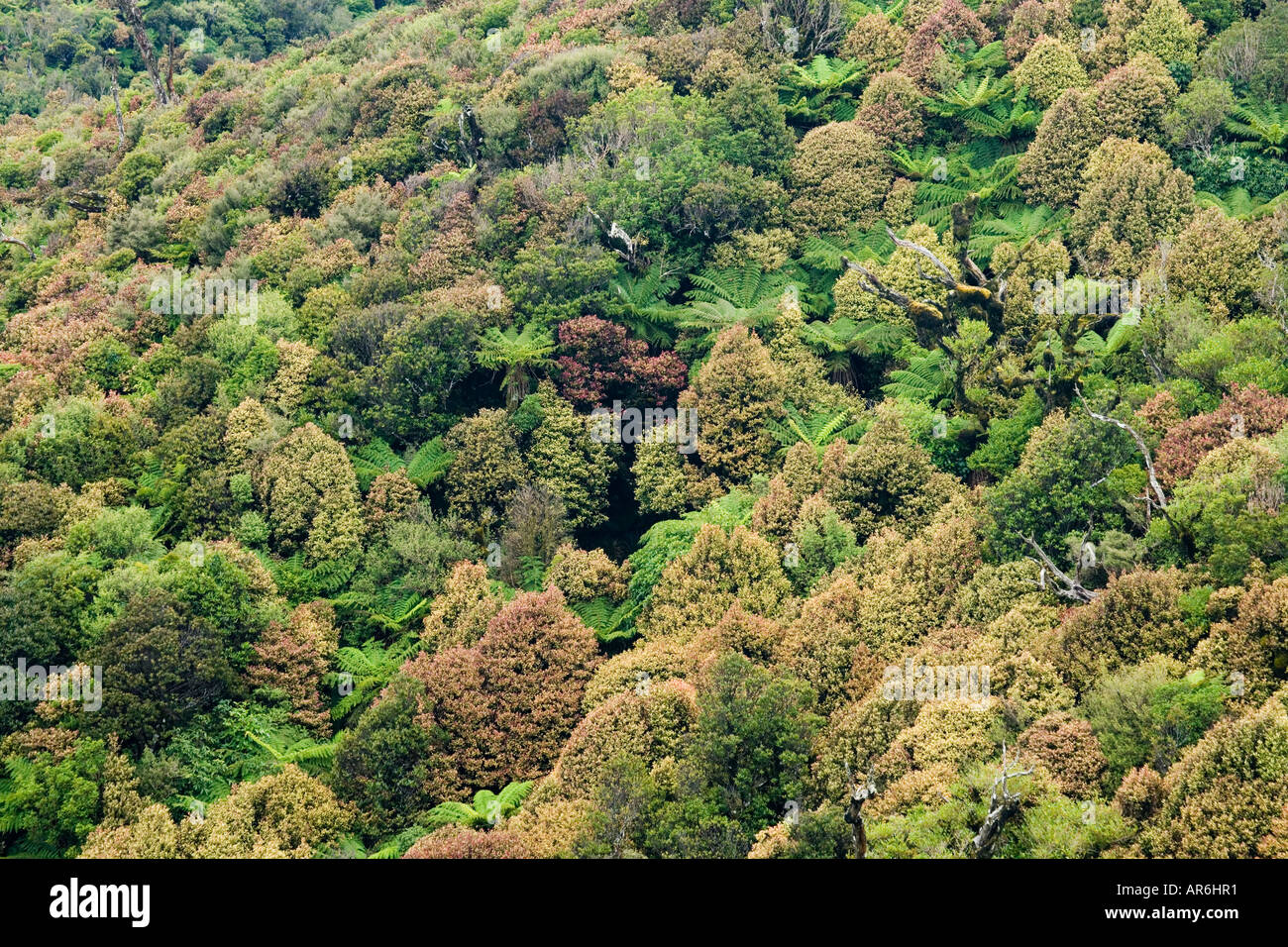 Ruahine ranges hi-res stock photography and images - Alamy