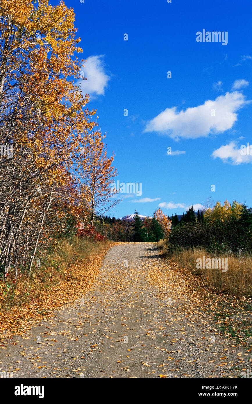 Fall foliage in parc de hi-res stock photography and images - Alamy