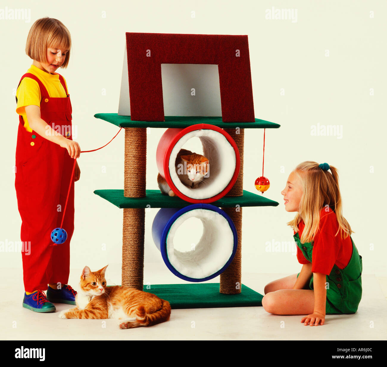 Cats' adventure playground; three tiered platforms supported by rope ...
