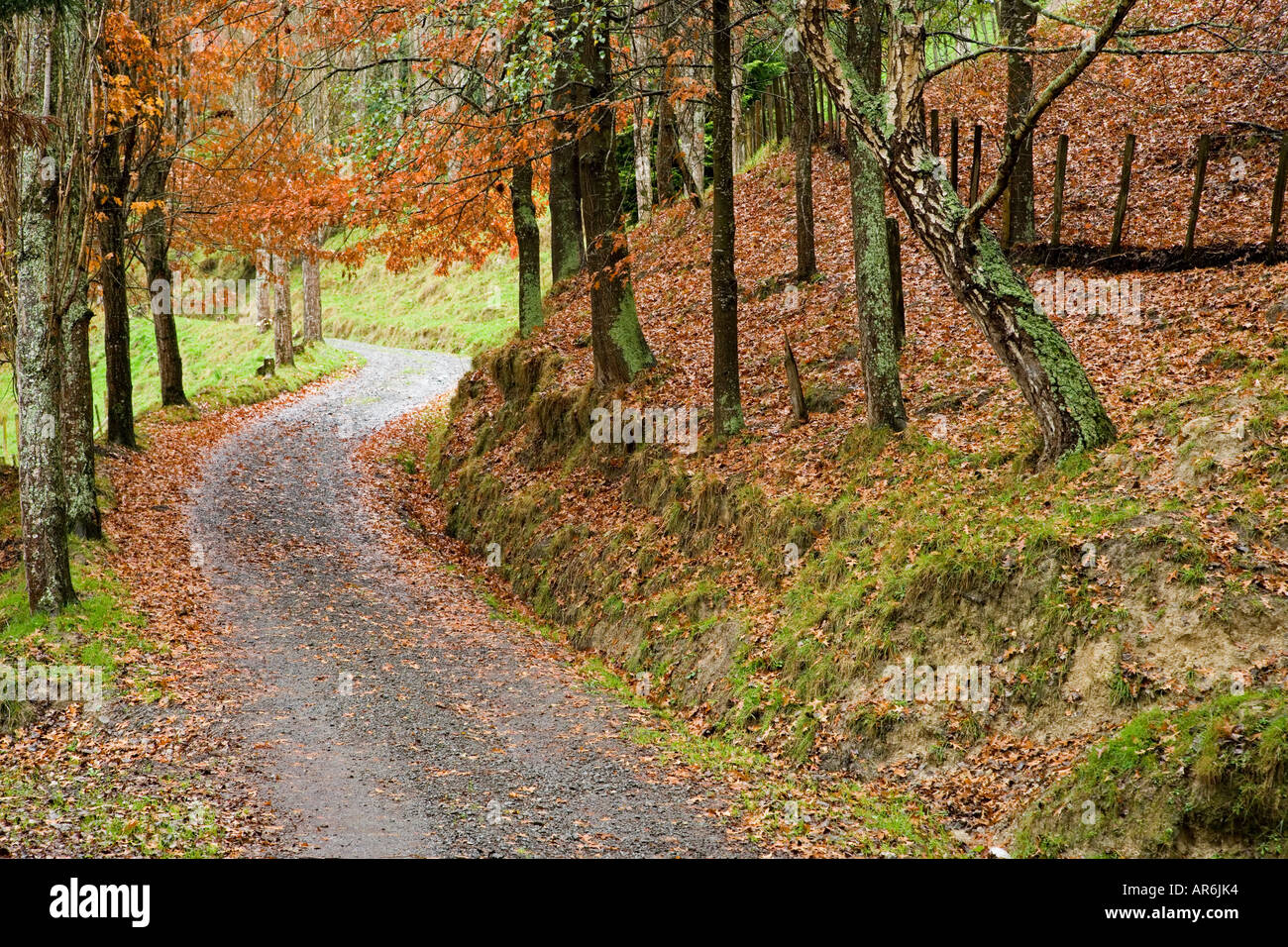 Autumn Colours near Utiku Rangitikei North Island New Zealand Stock ...