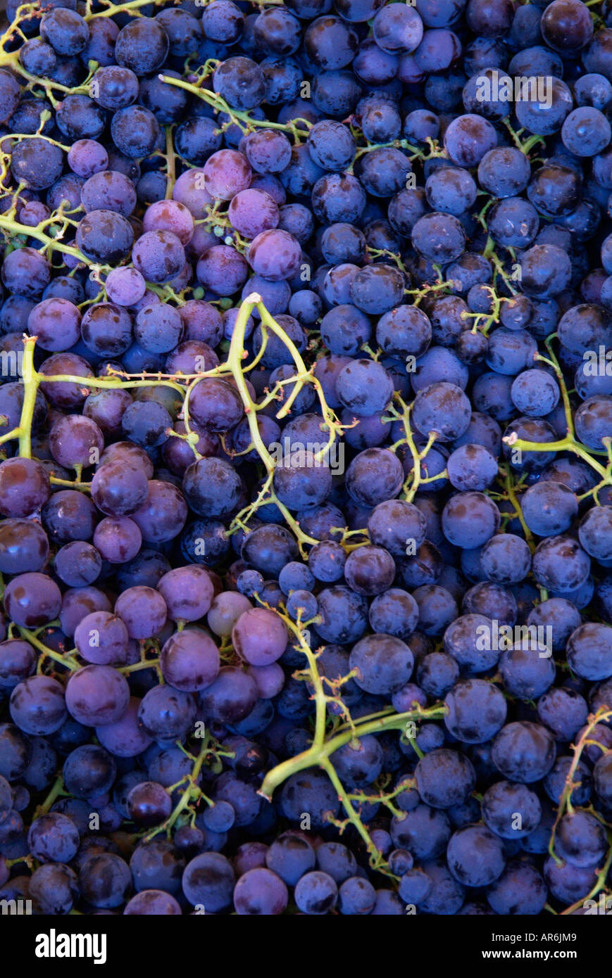 Black grape hi-res stock photography and images - Alamy