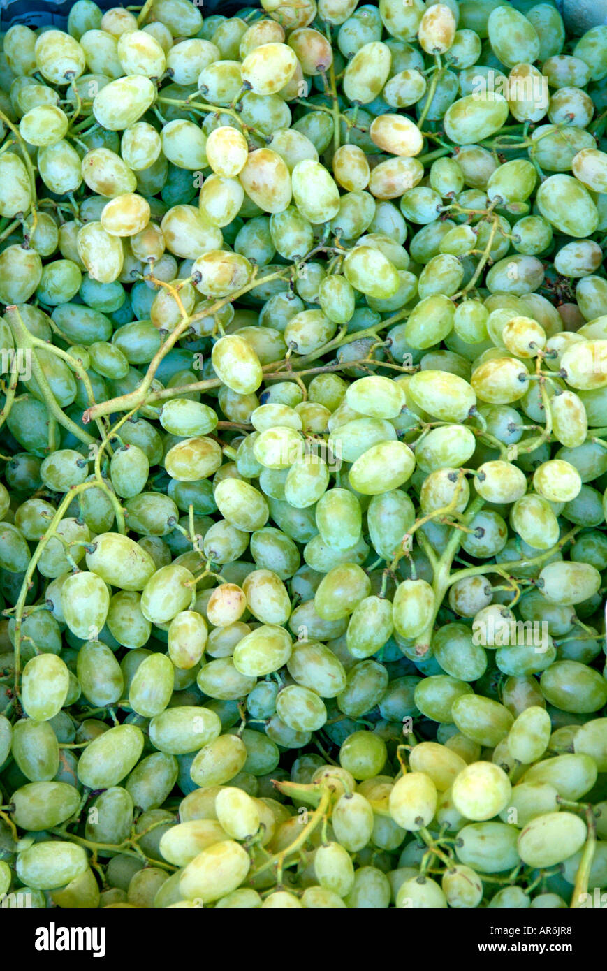 Grape stalk hi-res stock photography and images - Alamy