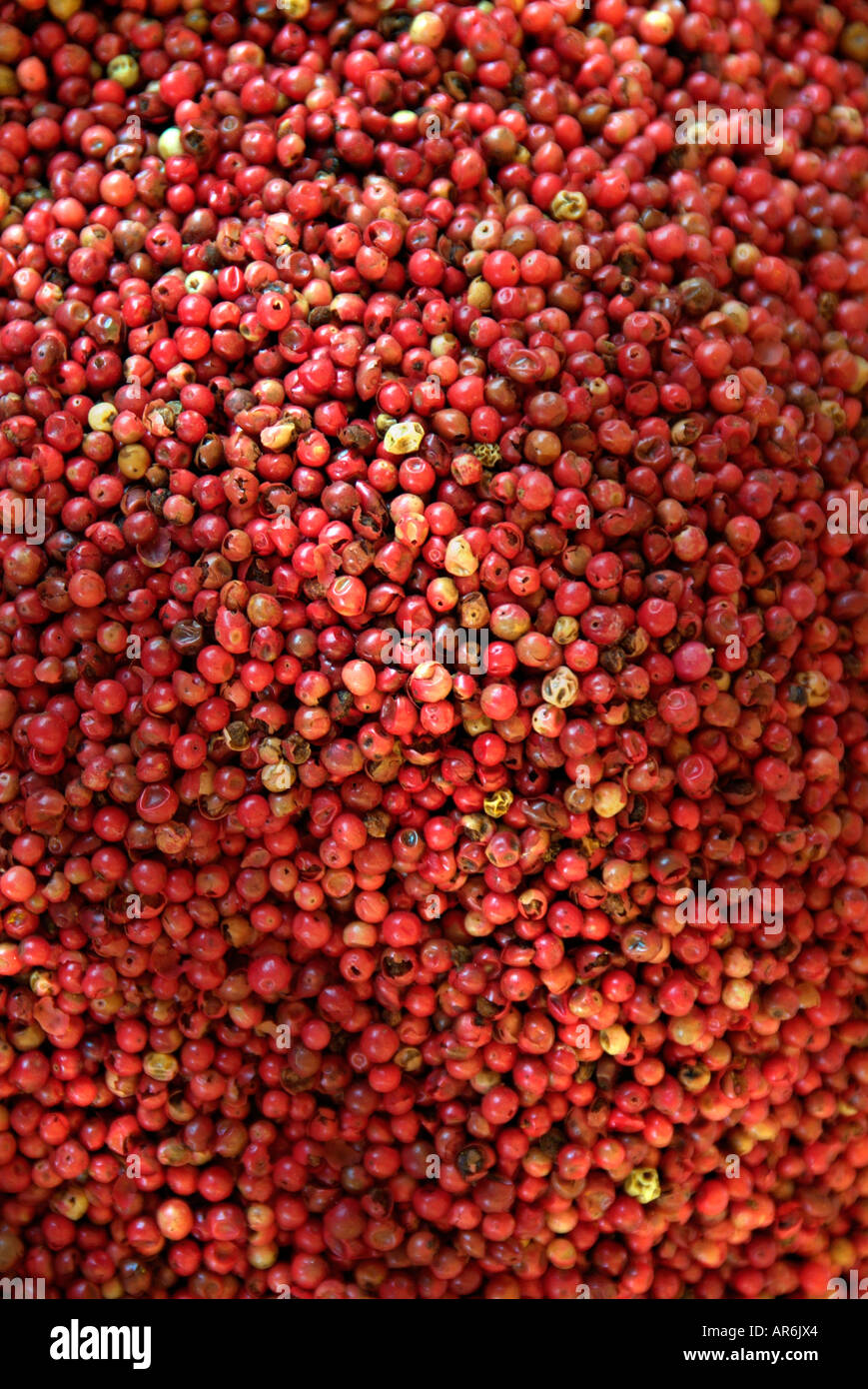 red pepper corns corm seed husk skin whole unground uncrushed round ...