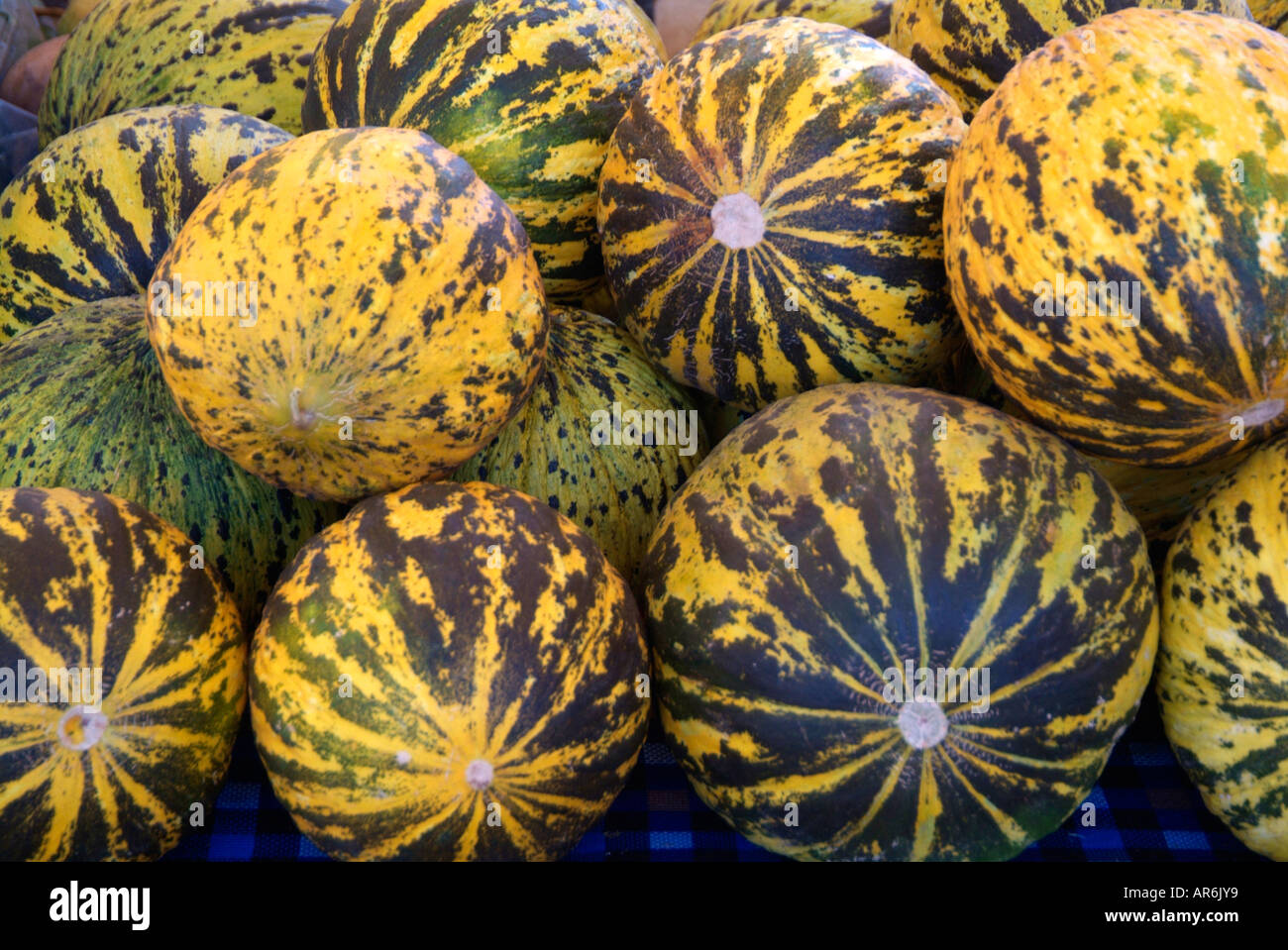Whole Watermelon Fruit