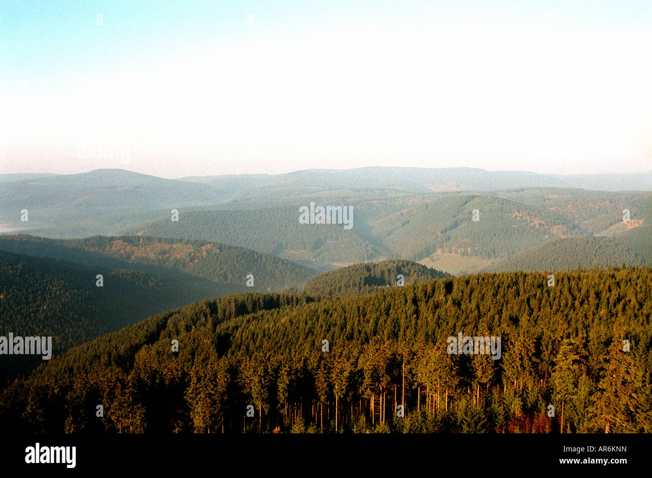 Thuringian woods hi-res stock photography and images - Alamy