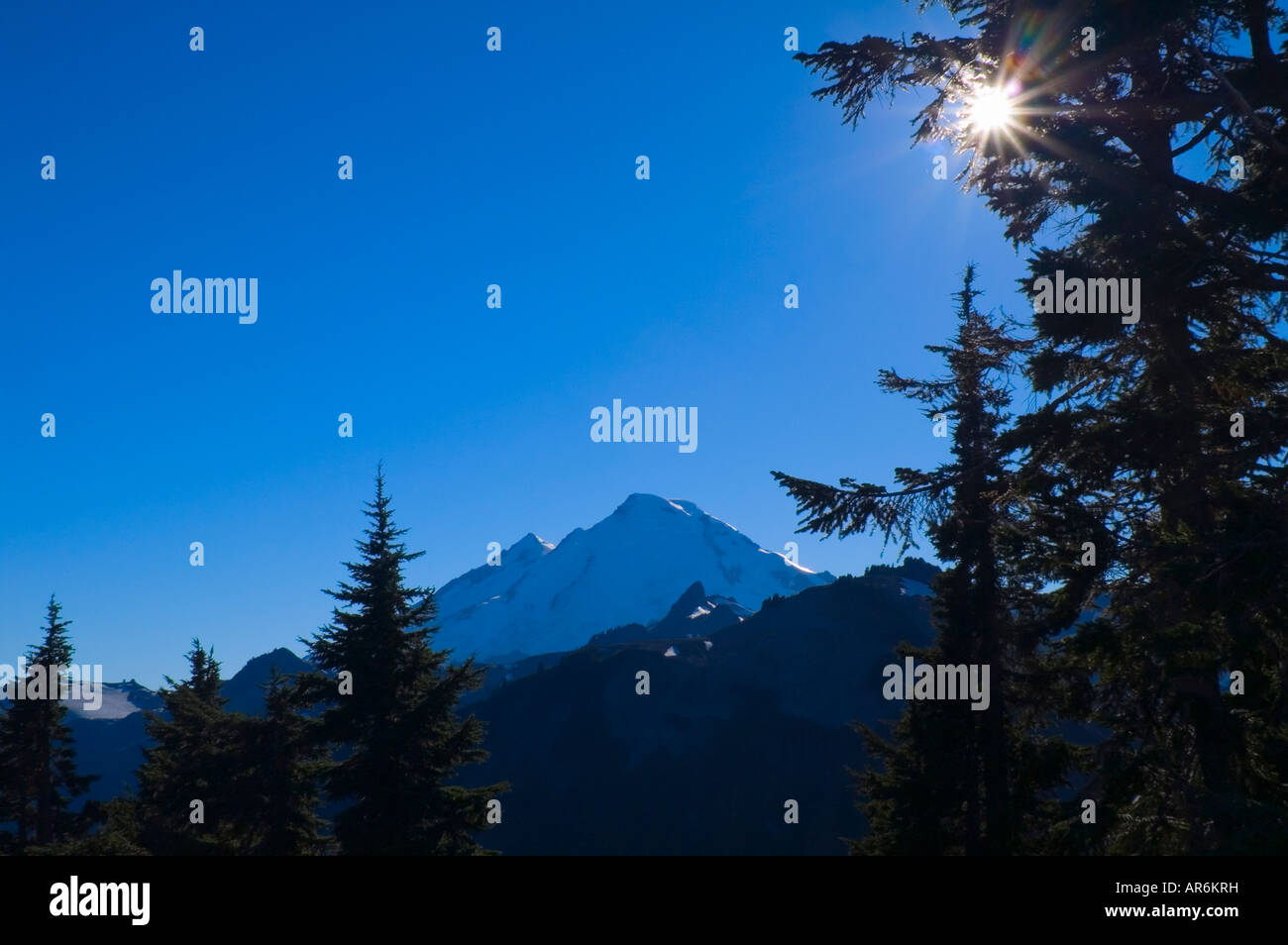 Mount Baker from Artist Point Stock Photo - Alamy