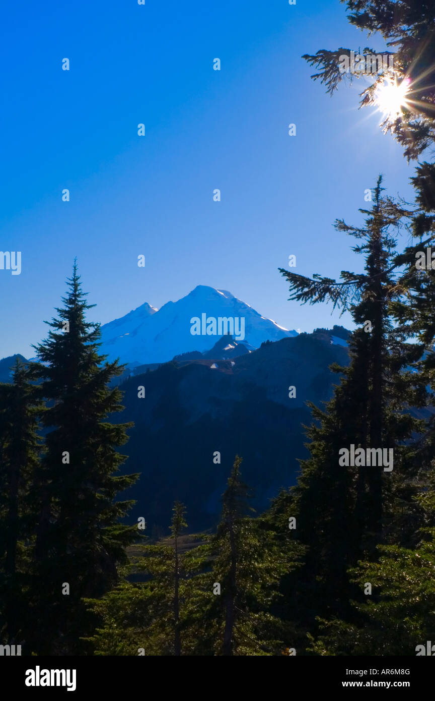 Mount Baker from Artist Point Stock Photo - Alamy
