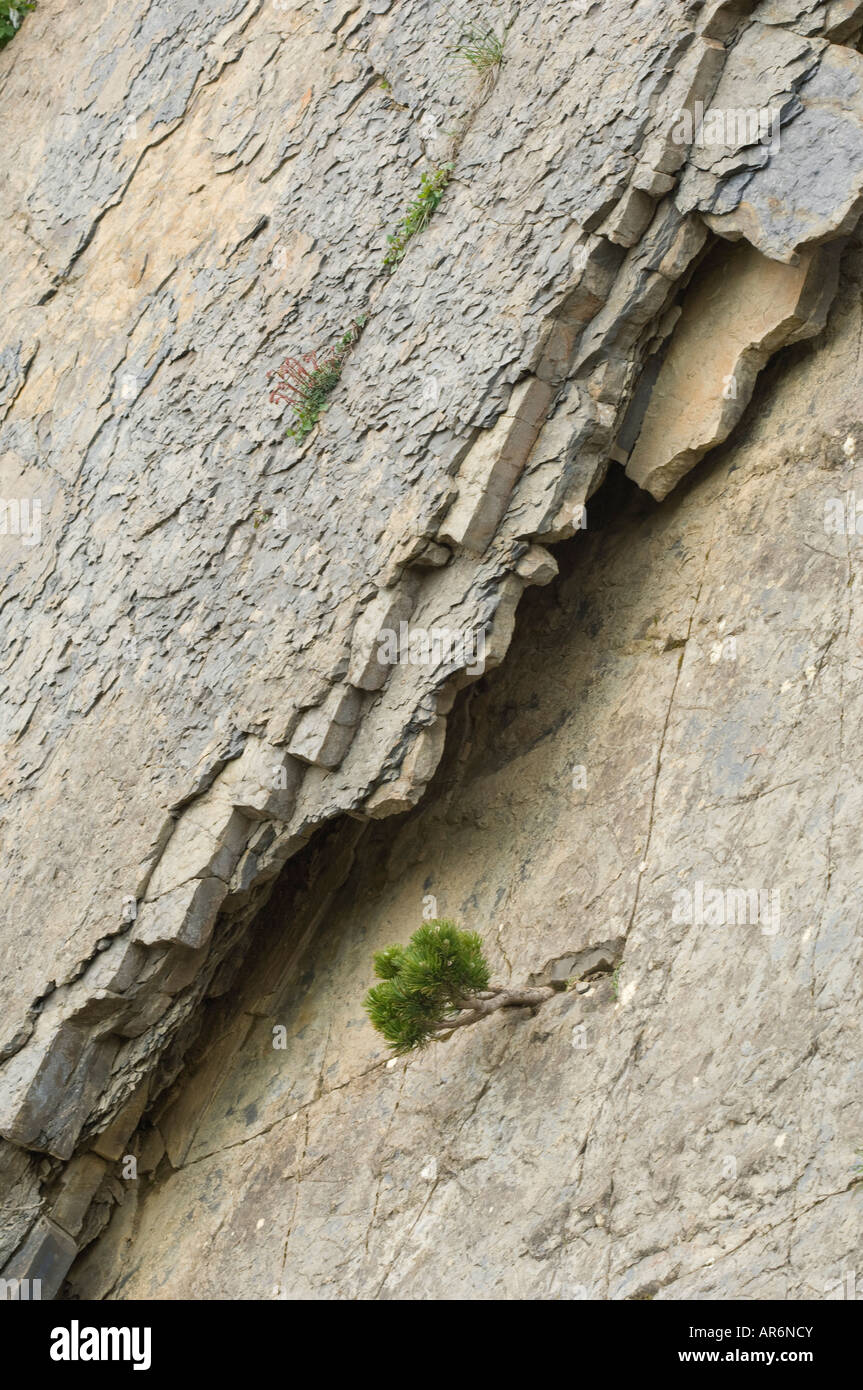 Slate miniature hi-res stock photography and images - Alamy