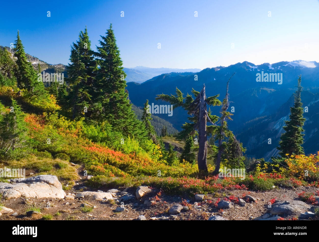 Fall color mount baker autumn hi-res stock photography and images - Alamy