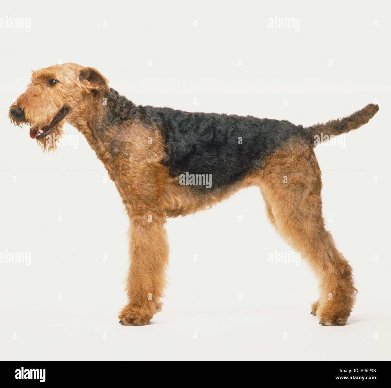 Short Sloping High Resolution Stock Photography and Images - Alamy