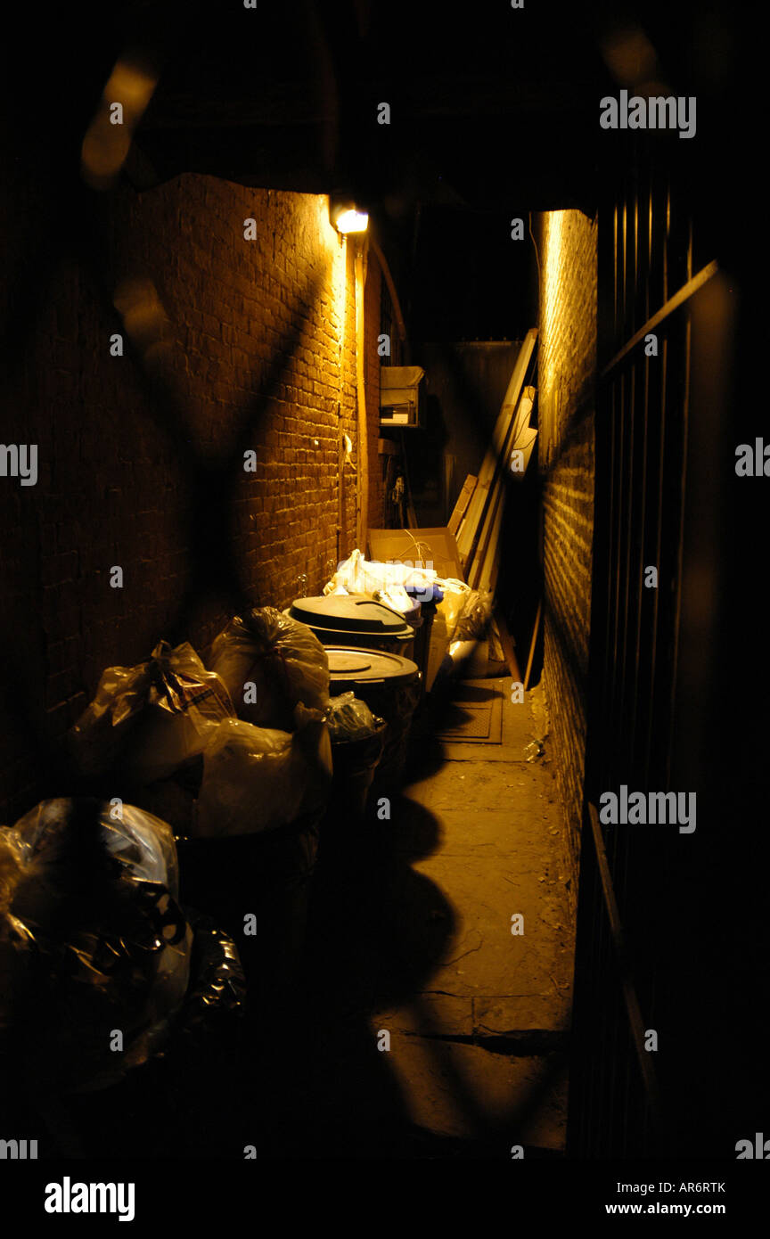 Garbage cans at night in a narrow street East Village New York USA ...