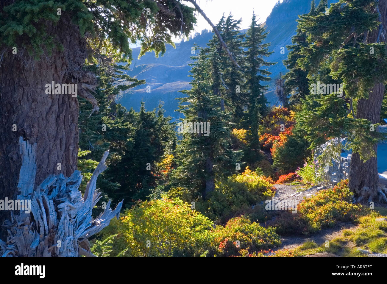 Artist Point in Autumn Stock Photo - Alamy
