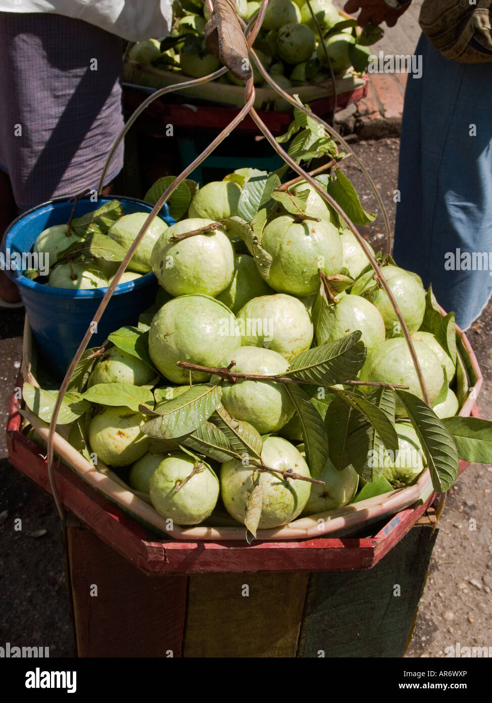 guavas for sale at market in Rangoon Stock Photo - Alamy