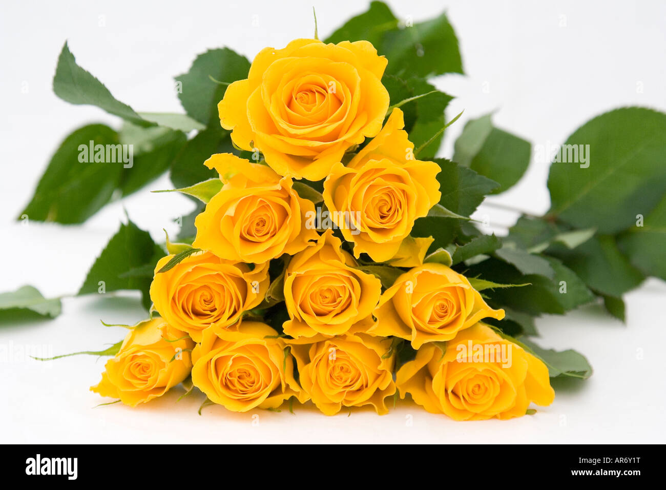 Triangle roses hi-res stock photography and images - Alamy