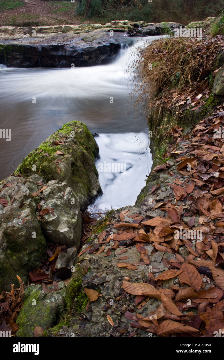 Fall Leaves at Merit Water Park Waterfall Stock Photo - Alamy