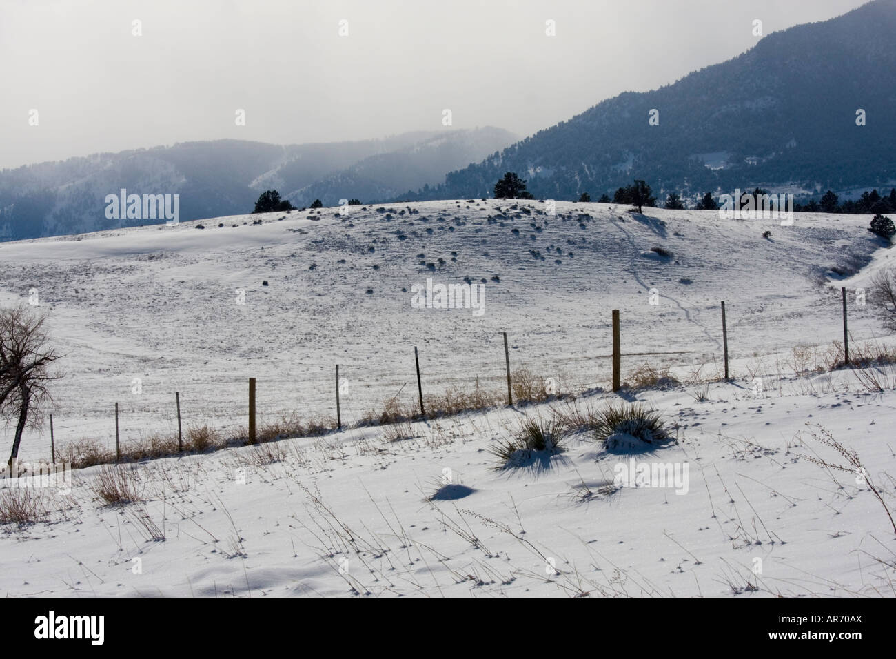 Beautiful snow-scape near the Boulder Flatirons under heavy clouds and ...