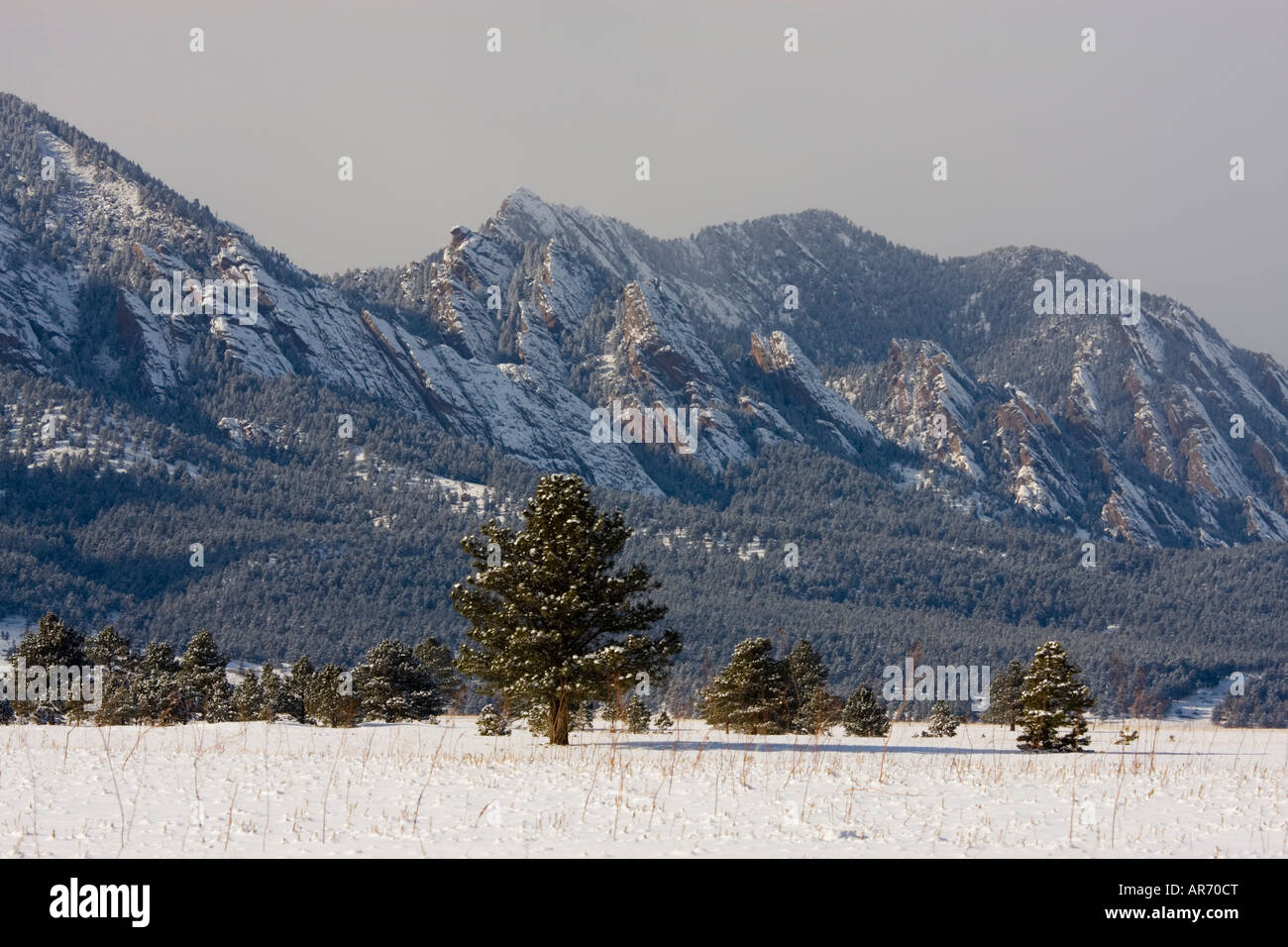 Flat irons hi-res stock photography and images - Alamy