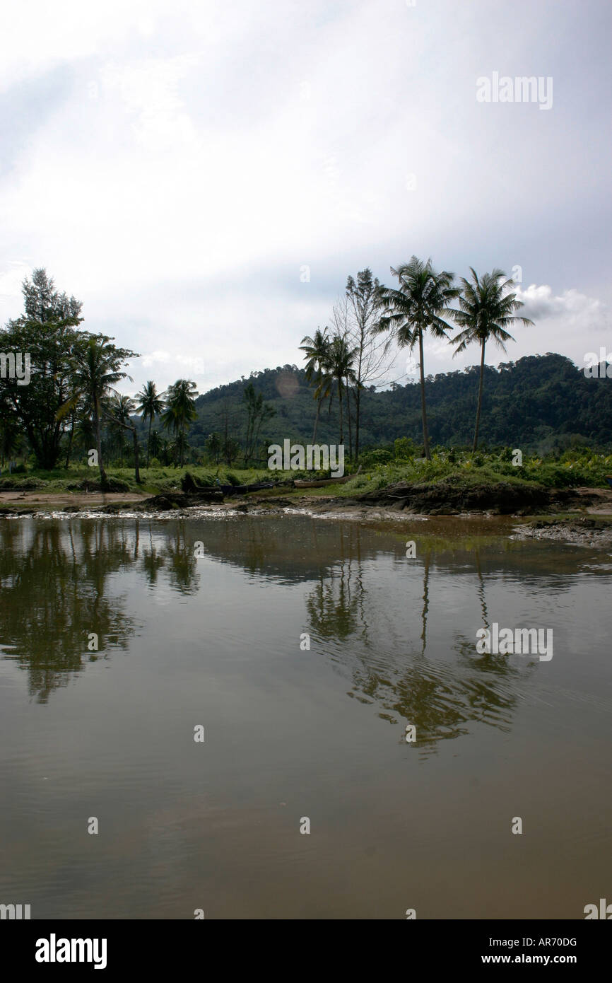 Beech scene hi-res stock photography and images - Alamy