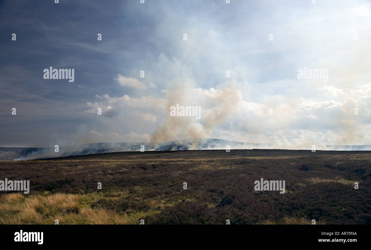 Fires out of control hi-res stock photography and images - Alamy
