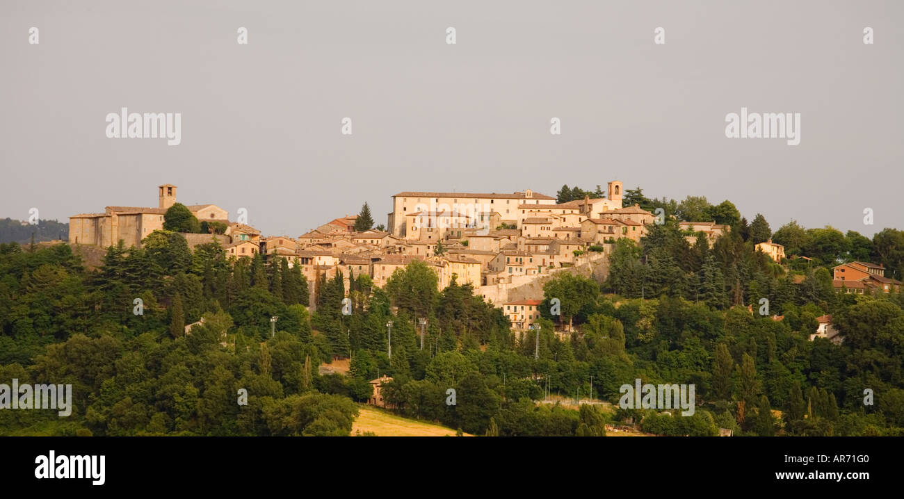 Montone hi-res stock photography and images - Alamy