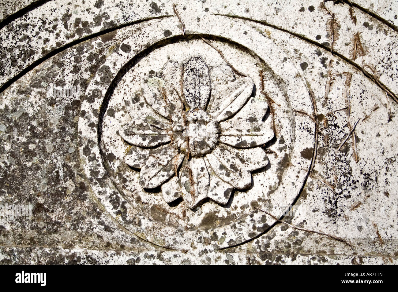 Medieval bas-relief of a flower in Landim Monastery. Vila Nova de ...