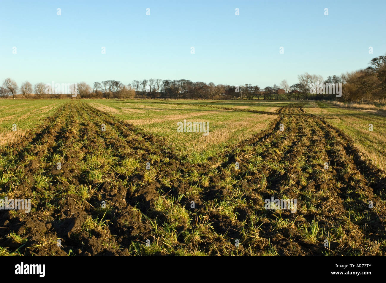 Potato field scotland hi-res stock photography and images - Alamy