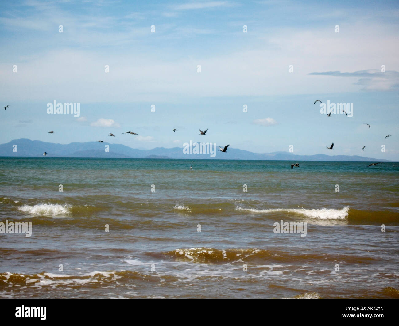 Flock birds flying over sea rocks hi-res stock photography and images ...