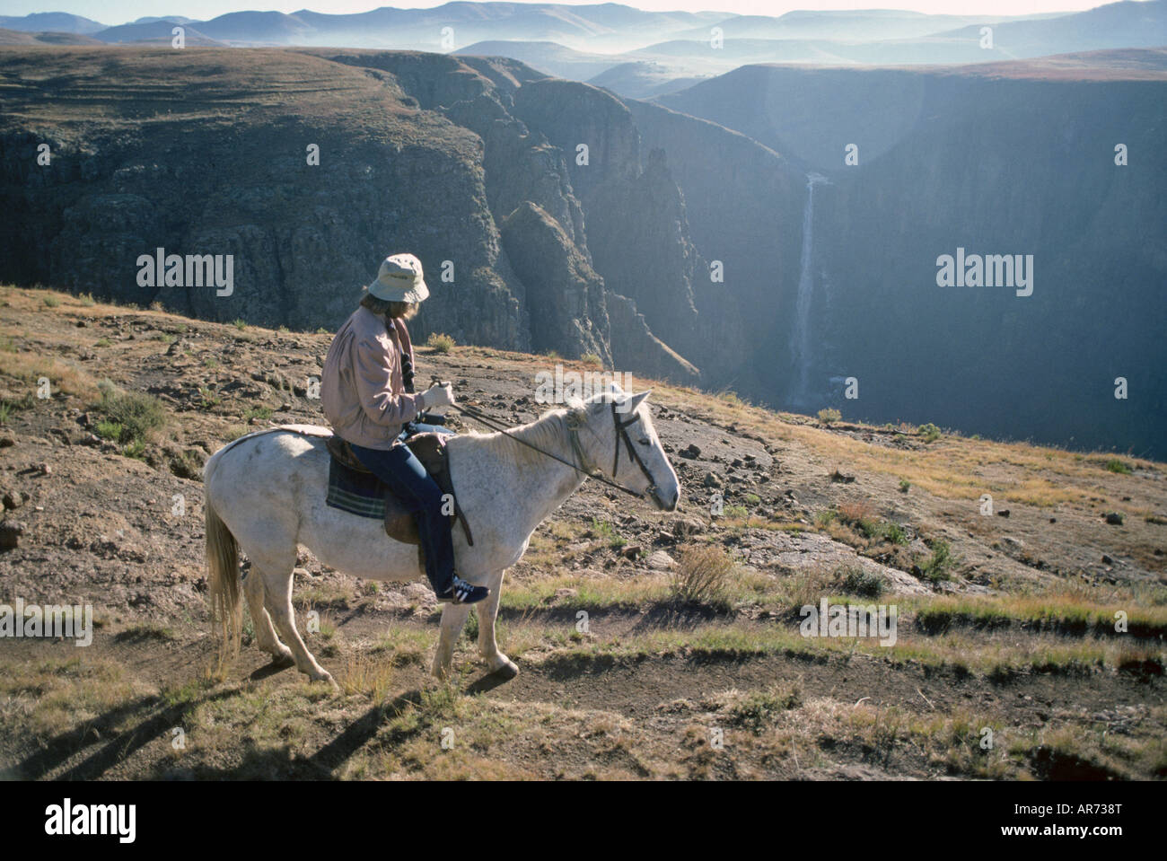Basuto pony hi-res stock photography and images - Alamy